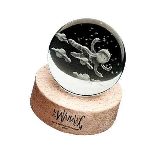 IU Merch | Shop Official Kpop Merch Online | DKshop